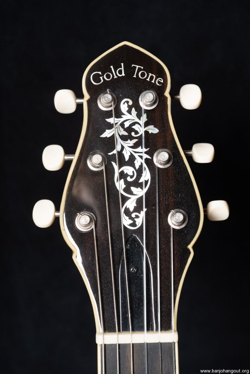 Gold Tone BT-14 Banjo-Guitar - 14" pot! - Used Banjo For Sale at ...