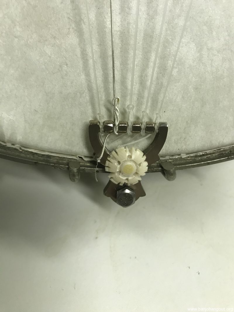 SS Stewart Banjeaurine (Reduced) - Used Banjo For Sale at BanjoBuyer.com