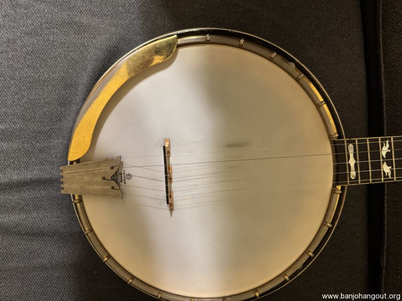 Baldwin Model D with Randy Wood neck - Used Banjo For Sale at ...