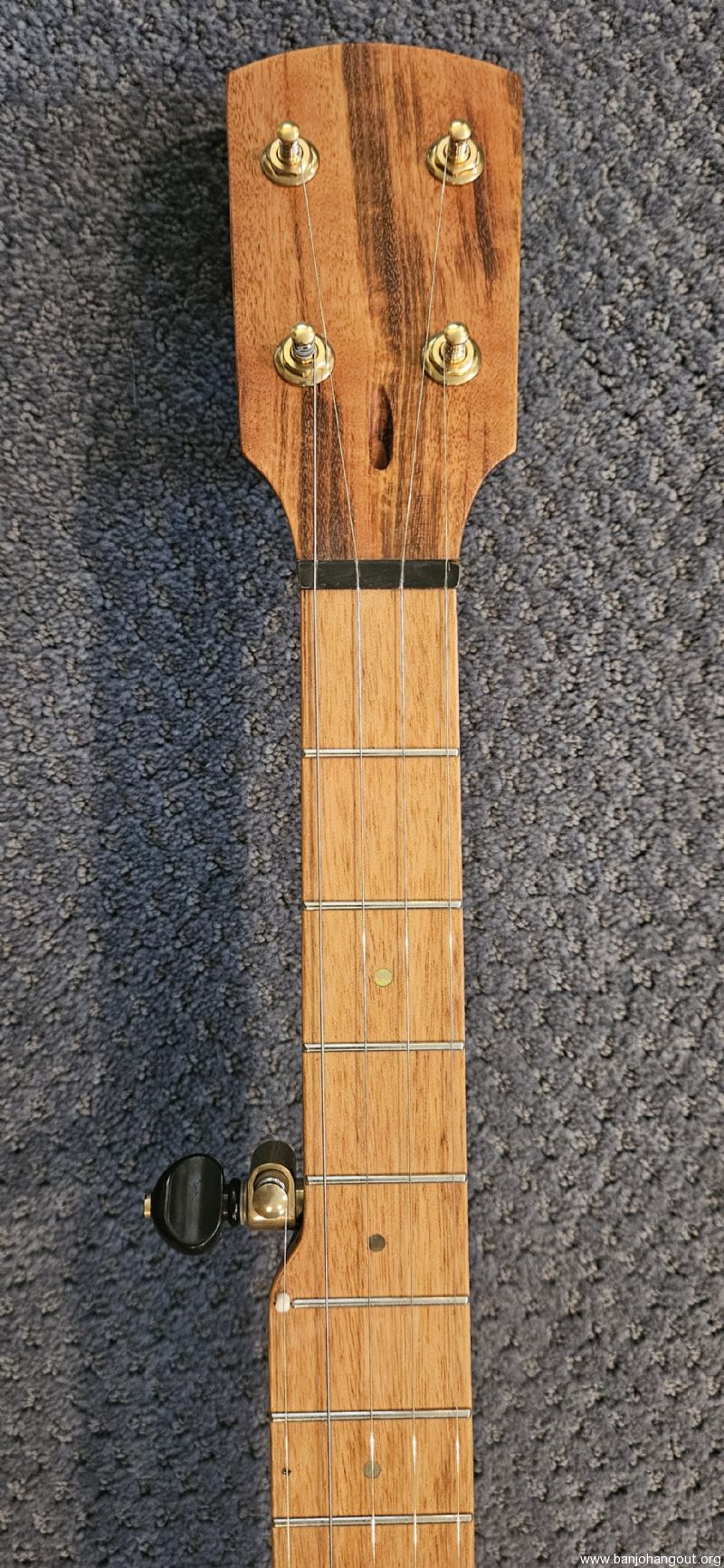 Stone Banjo Co 24198X - Tigerwood fretboard, 12-inch Walnut rim, Walnut ...