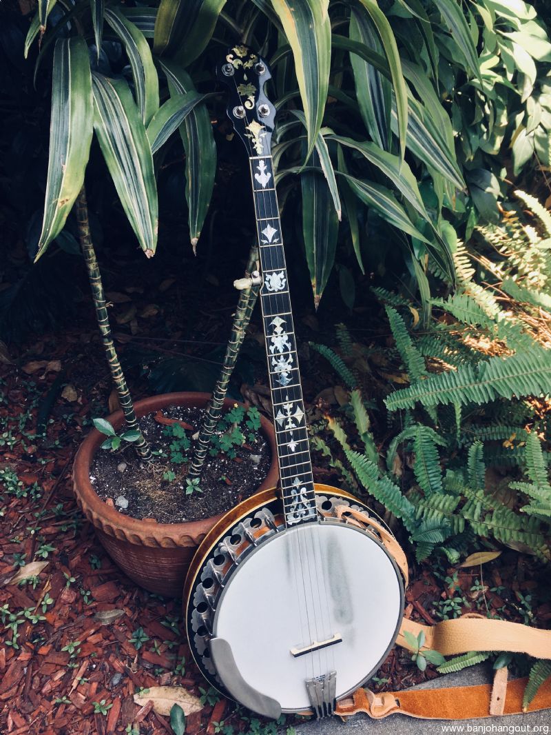 VERY RARE GREAT LAKES "PRESENTATION" 5-STRING with KEITH TUNERS, c.1976 ...