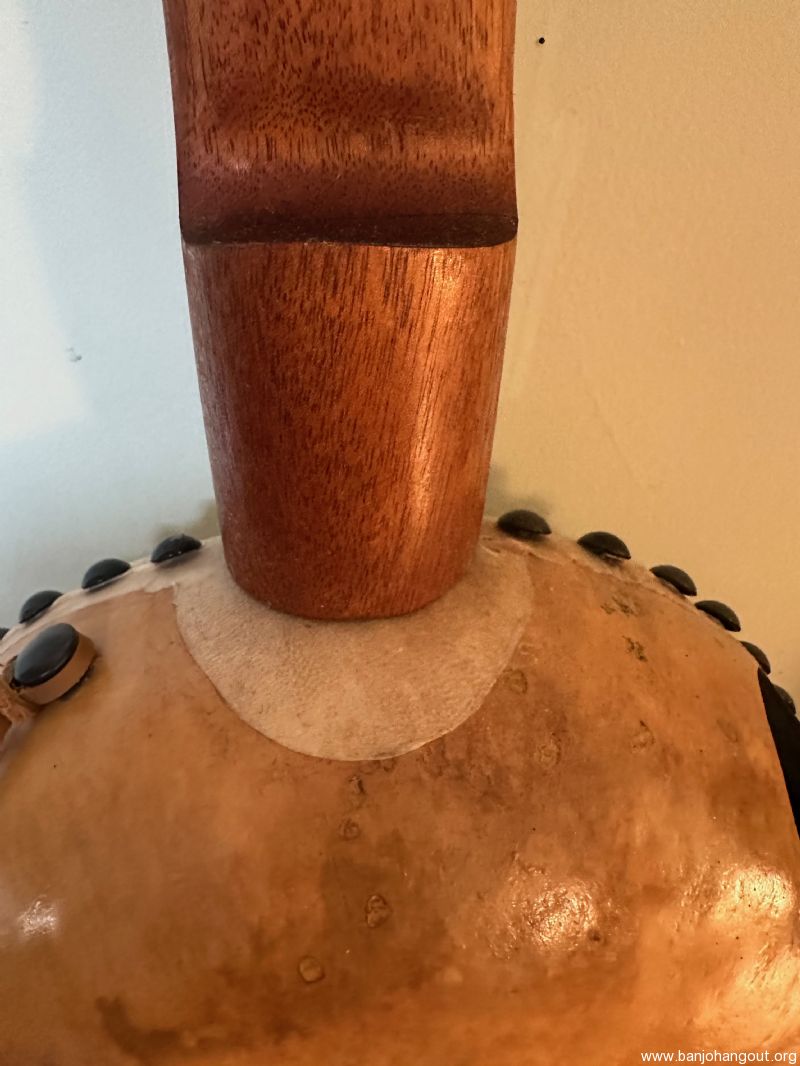 Barry Sholder Gourd Banjo - Used Banjo For Sale at BanjoBuyer.com