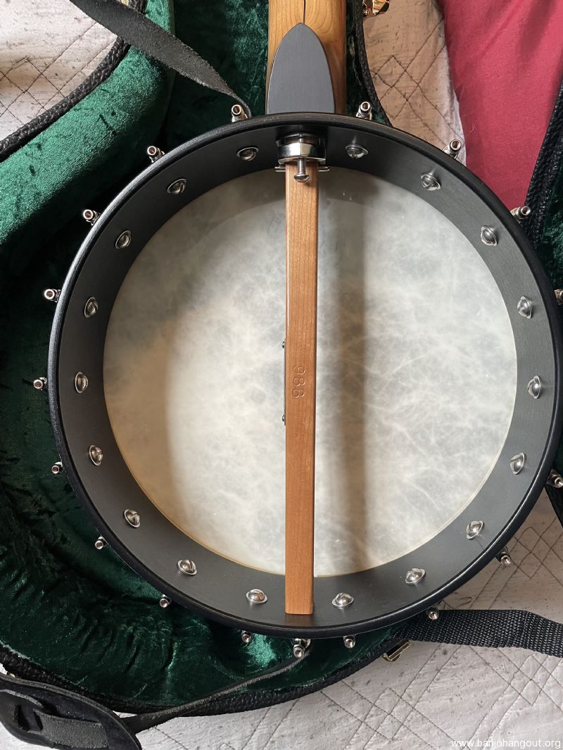 Mint Cedar Mountain Brainjo Banjo - Banjo Hangout