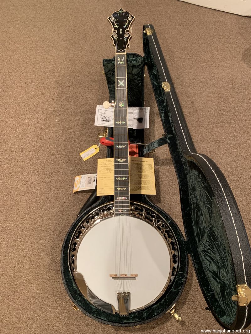 2015 Stelling Staghorn (Sold Pending Funds) - Used Banjo For Sale at ...