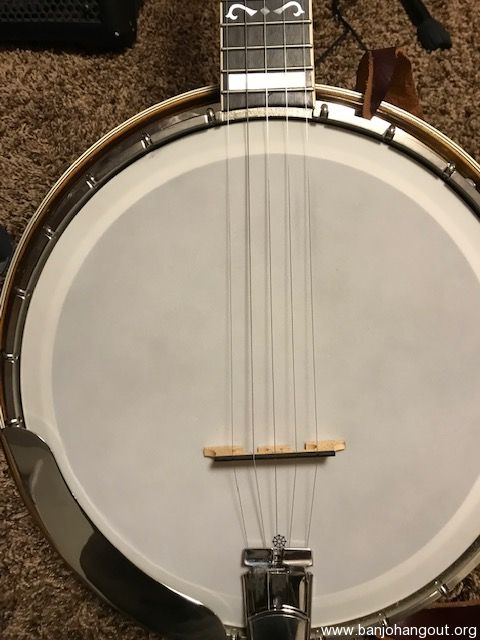 1979, Gold Star G-12w Banjo—Professional Banjo! - Used Banjo For Sale ...