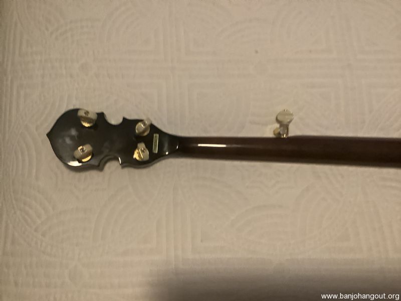 Gold Tone WL250 White Lady - Used Banjo For Sale at BanjoBuyer.com