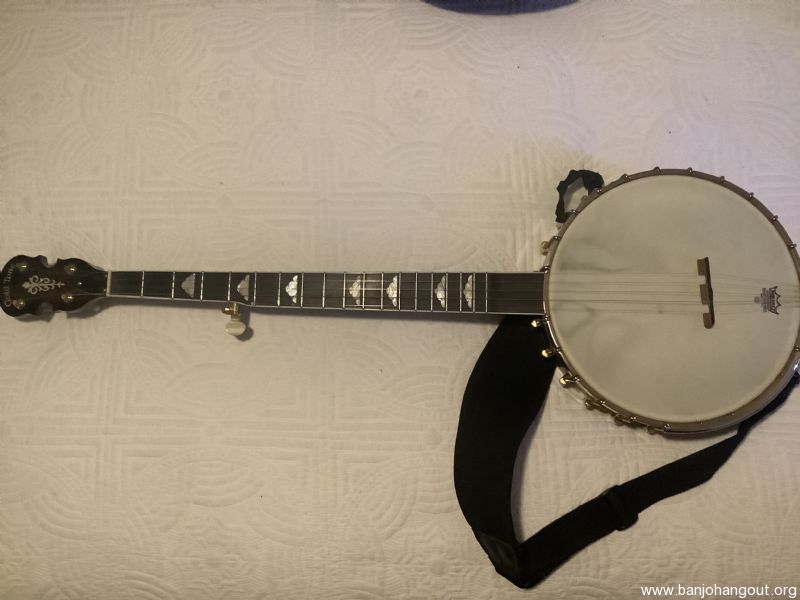 Gold Tone WL250 White Lady - Used Banjo For Sale at BanjoBuyer.com