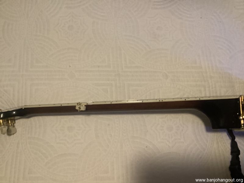 Gold Tone WL250 White Lady - Used Banjo For Sale at BanjoBuyer.com
