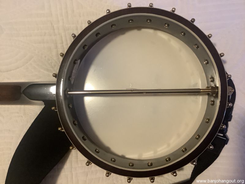 Gold Tone WL250 White Lady - Used Banjo For Sale at BanjoBuyer.com