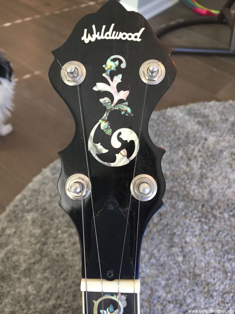 Wildwood Banjo with Tree of Life inlay - Used Banjo For Sale at ...