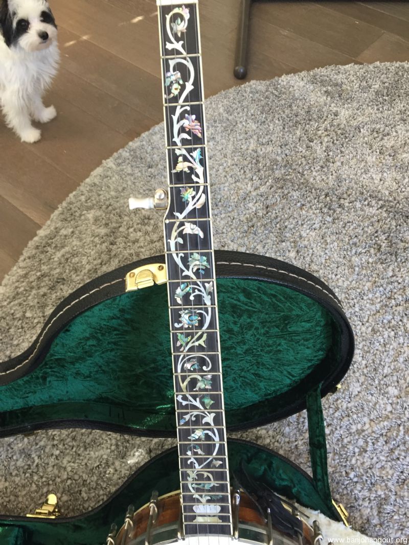 Wildwood Banjo with Tree of Life inlay - Used Banjo For Sale at ...