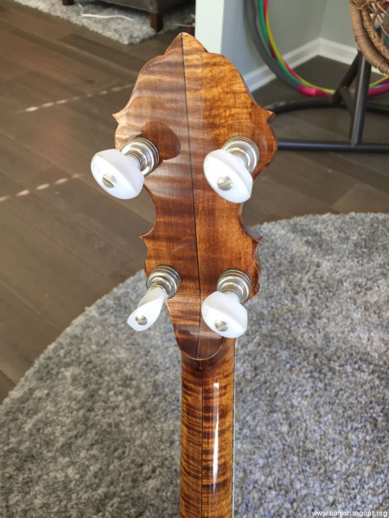 Wildwood Banjo with Tree of Life inlay - Used Banjo For Sale at ...