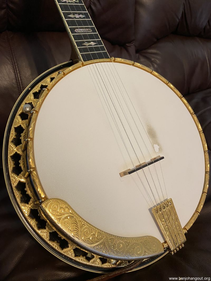 1977 Stelling Staghorn - Banjo Hangout