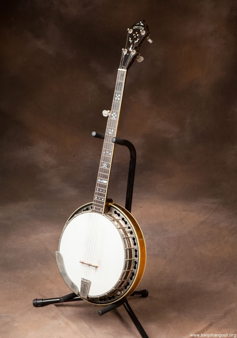 Stelling SunFlower 5 String Banjo - Used Banjo For Sale at BanjoBuyer.com