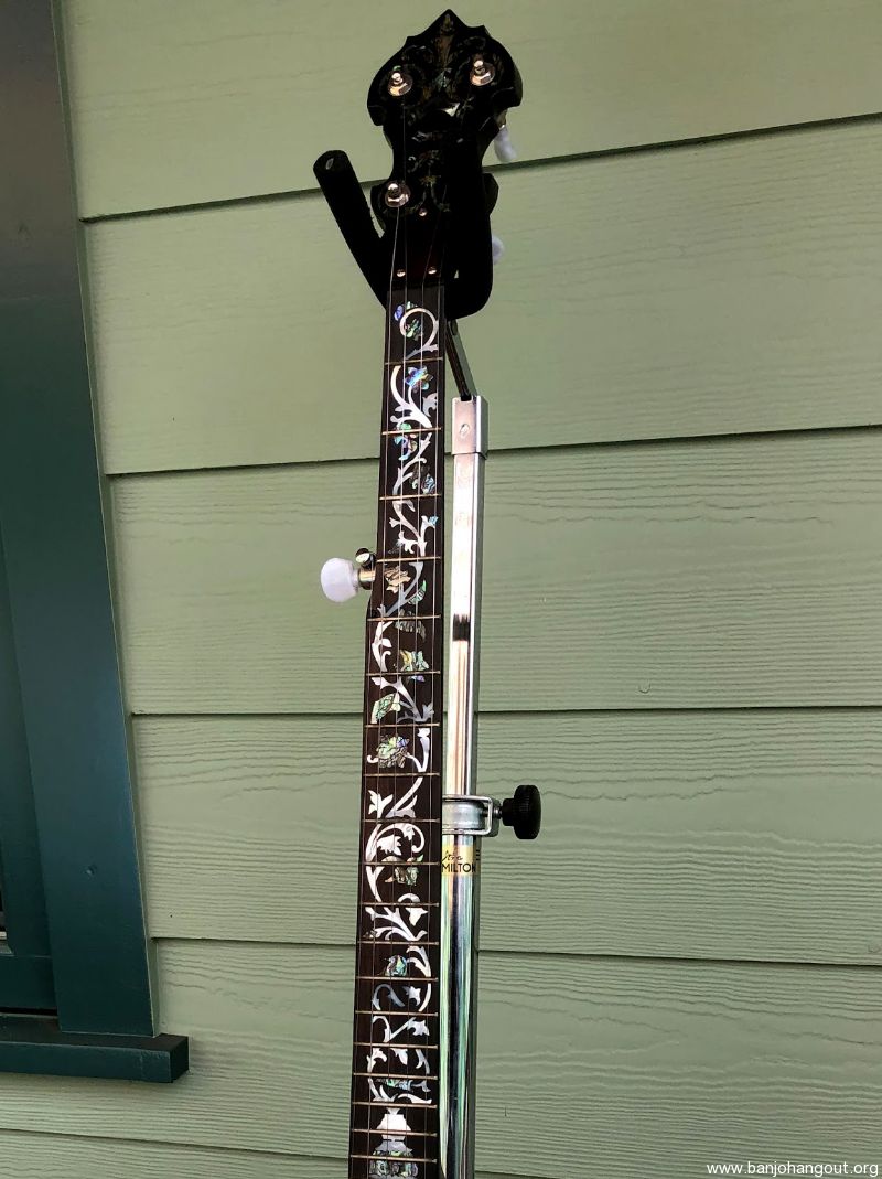 WL-250+ White Ladye Banjo w/ Tree of Life Inlay - Used Banjo For Sale ...