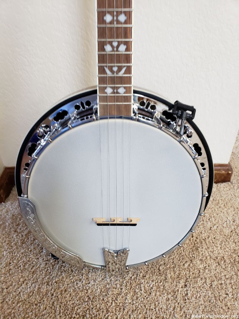 Gold Tone BG-150F 5-string Resonator Banjo + Accessories + 2 Cases ...
