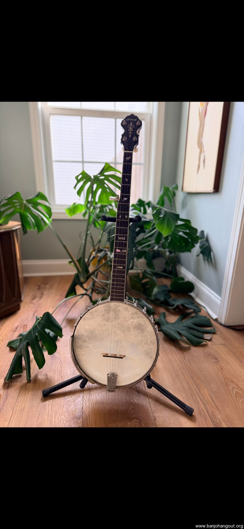 Wildwood Trubadour - Used Banjo For Sale at BanjoBuyer.com