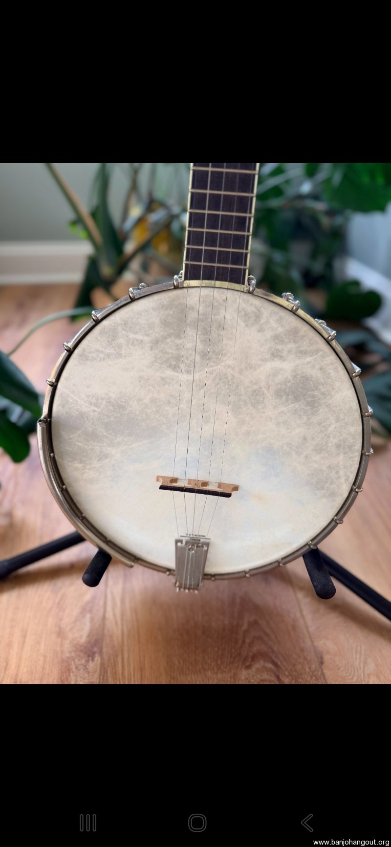 Wildwood Trubadour - Used Banjo For Sale at BanjoBuyer.com