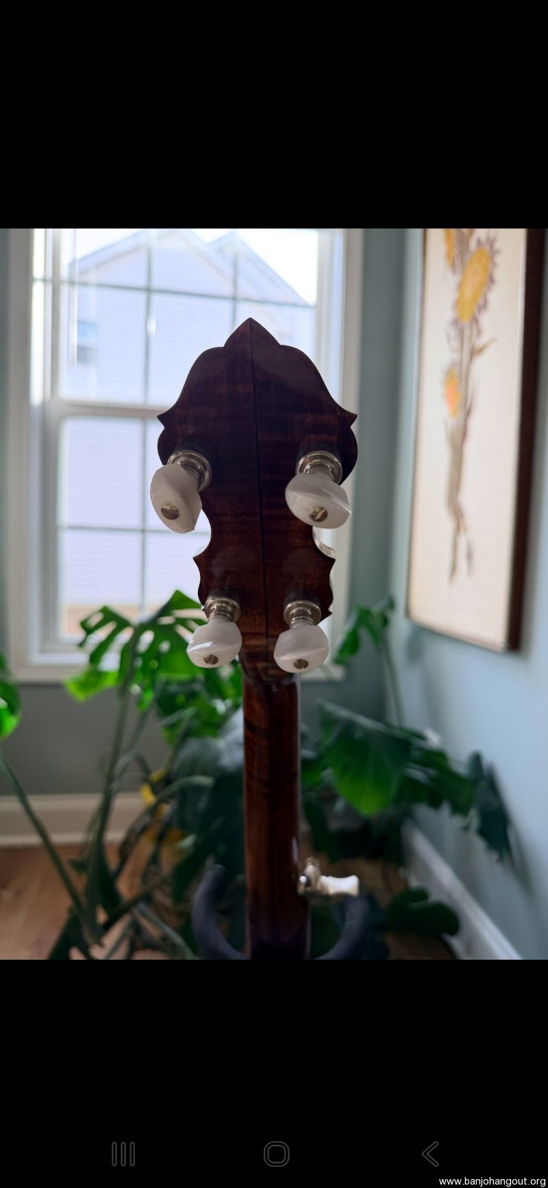 Wildwood Trubadour - Used Banjo For Sale at BanjoBuyer.com