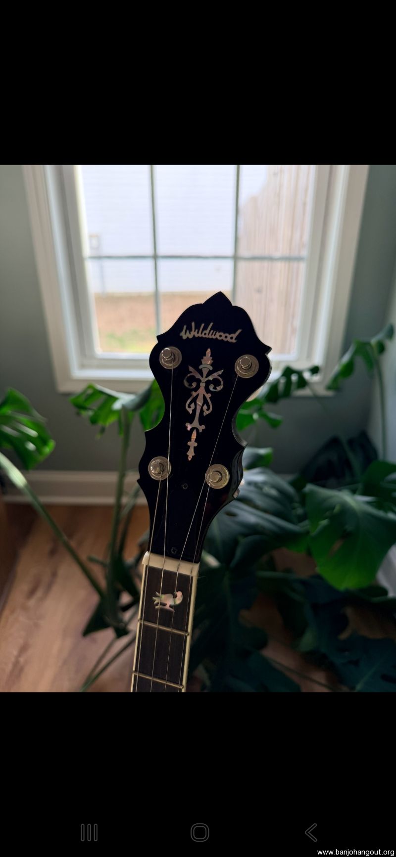 Wildwood Trubadour - Used Banjo For Sale at BanjoBuyer.com