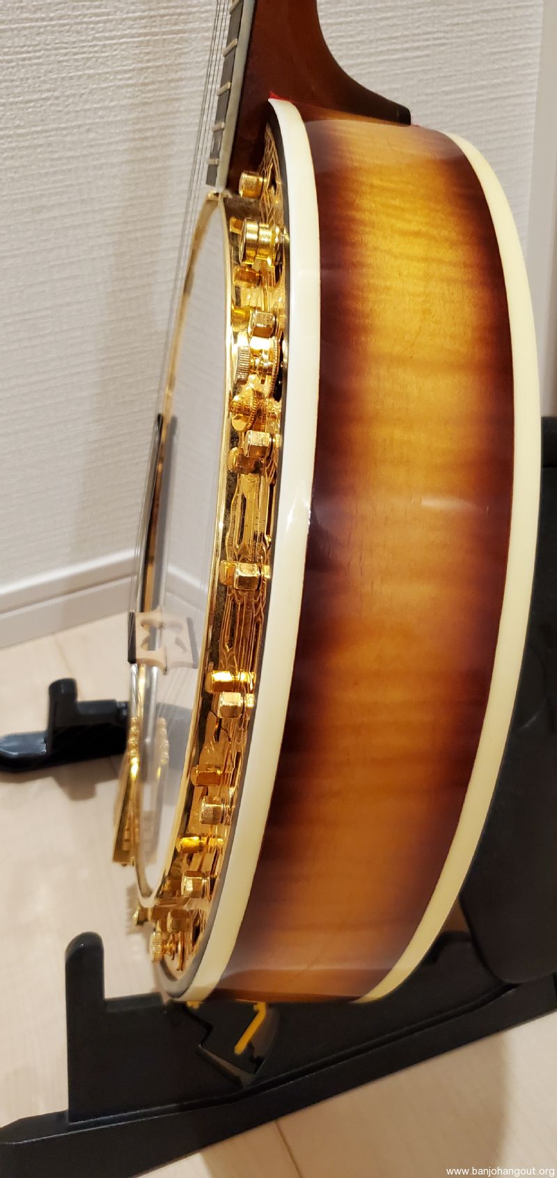 VEGAVOX I plectrum banjo UPGRADED gold hardware and new frets and ...