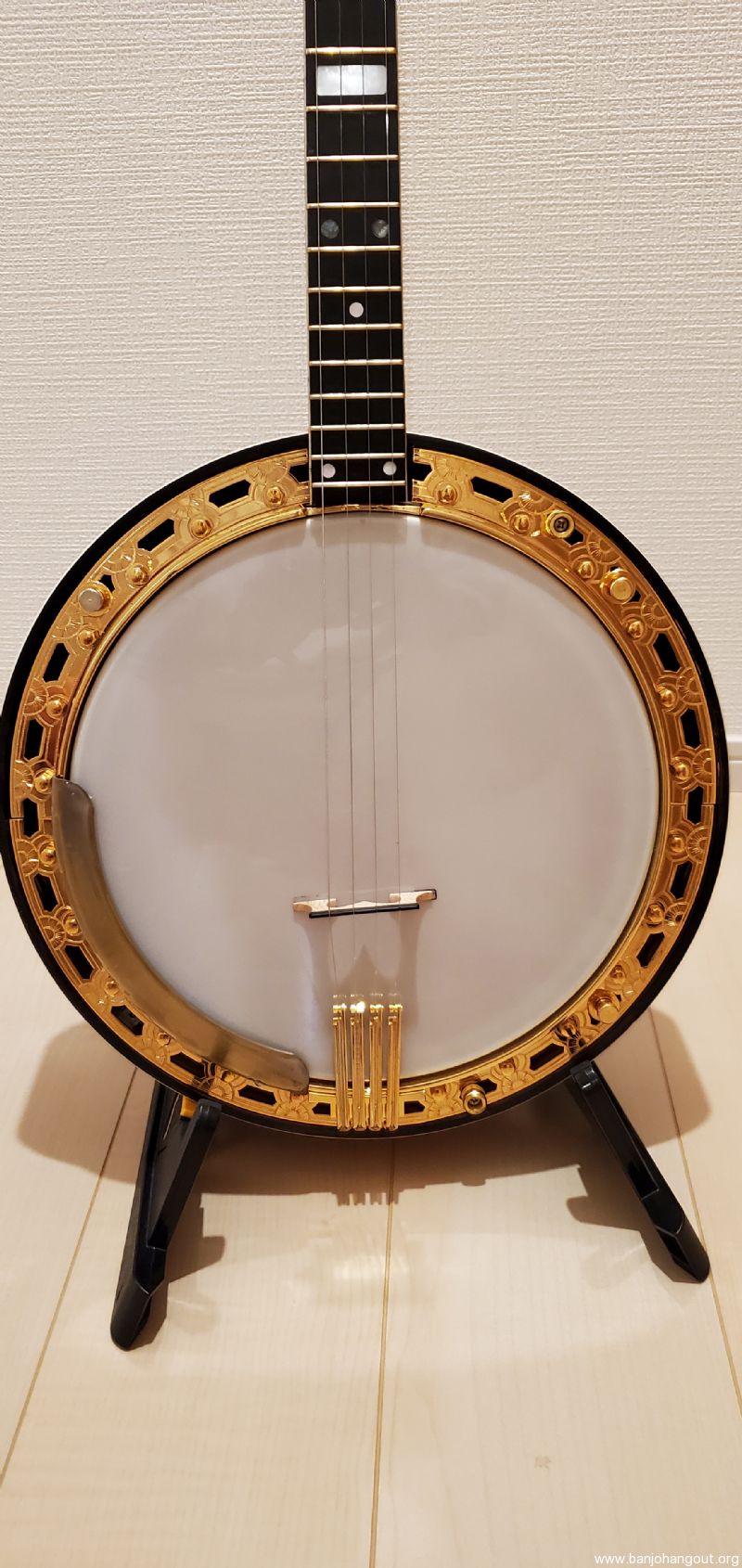 VEGAVOX I plectrum banjo UPGRADED gold hardware and new frets and ...