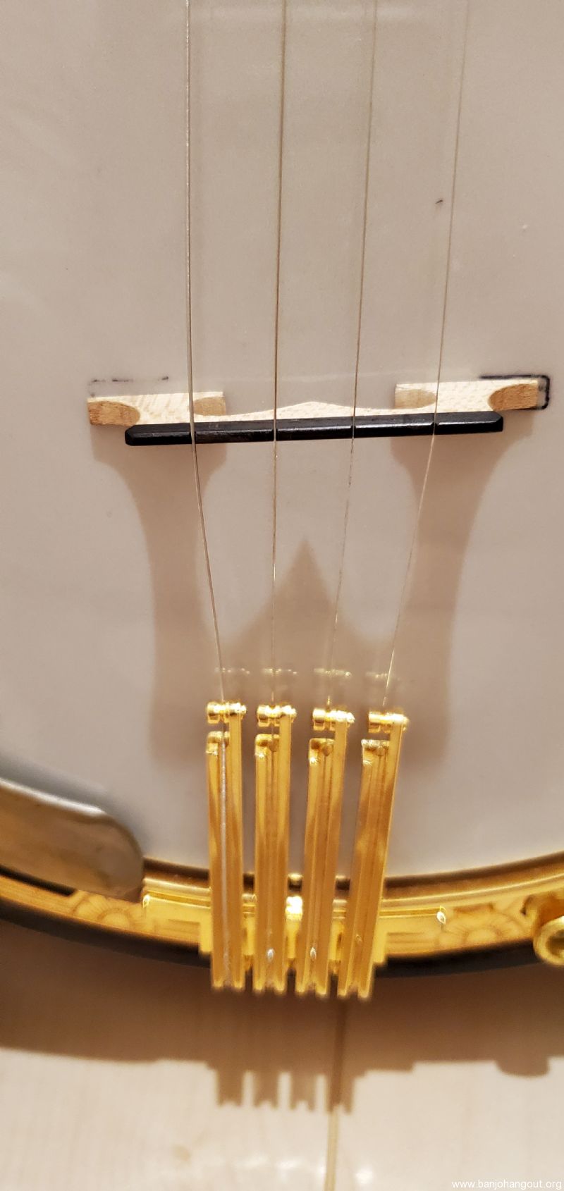 VEGAVOX I plectrum banjo UPGRADED gold hardware and new frets and ...