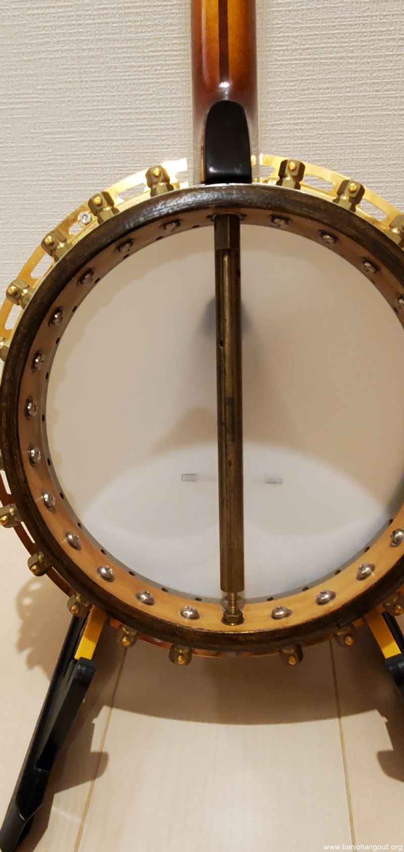 VEGAVOX I plectrum banjo UPGRADED gold hardware and new frets and ...