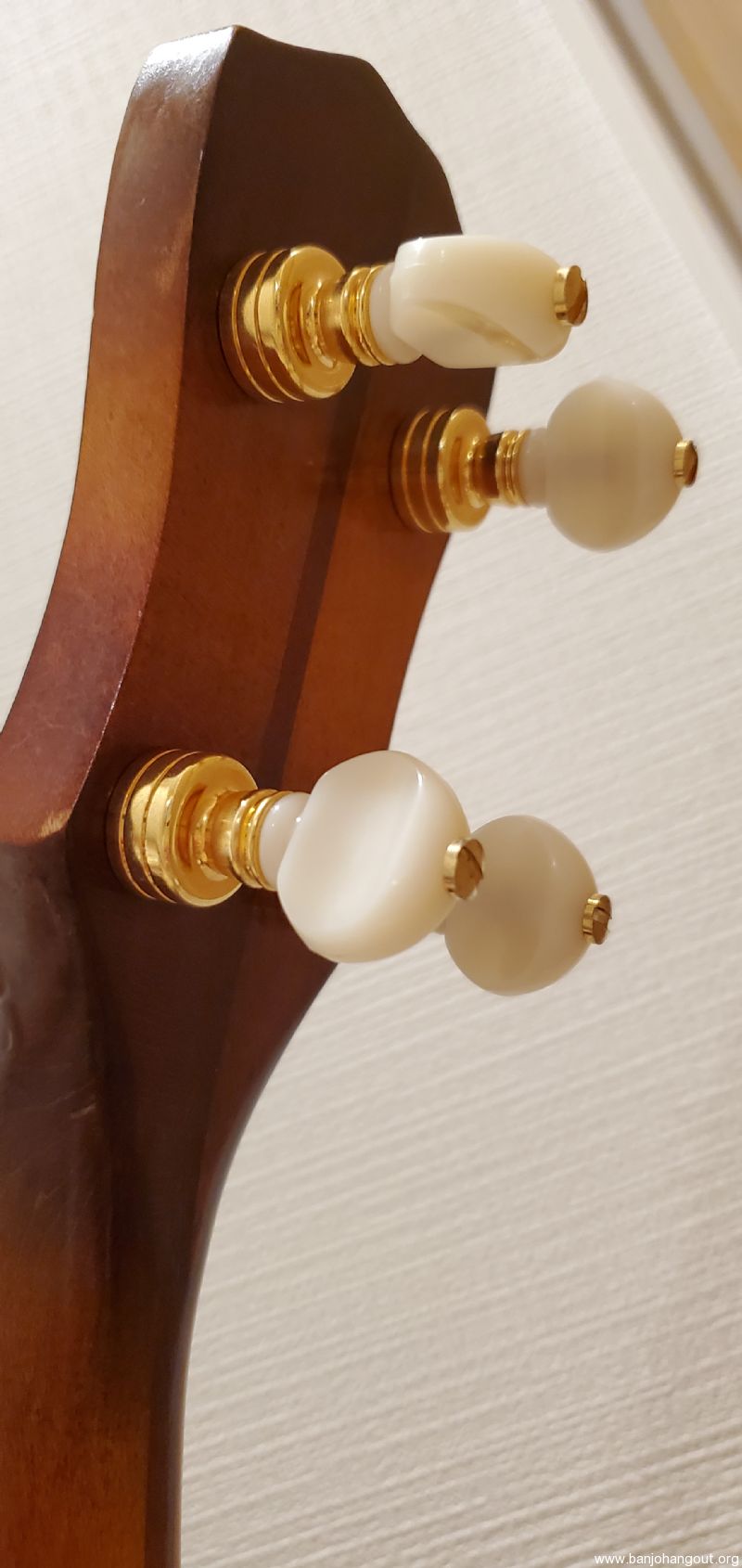 VEGAVOX I plectrum banjo UPGRADED gold hardware and new frets and ...