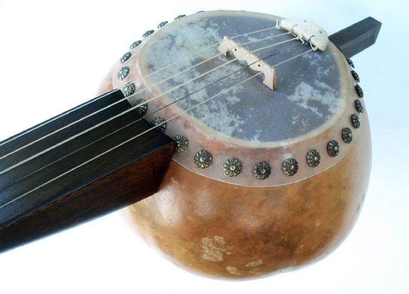 Fretless Clarke Buehling Sweeney style Gourd Banjo - Used Banjo For ...