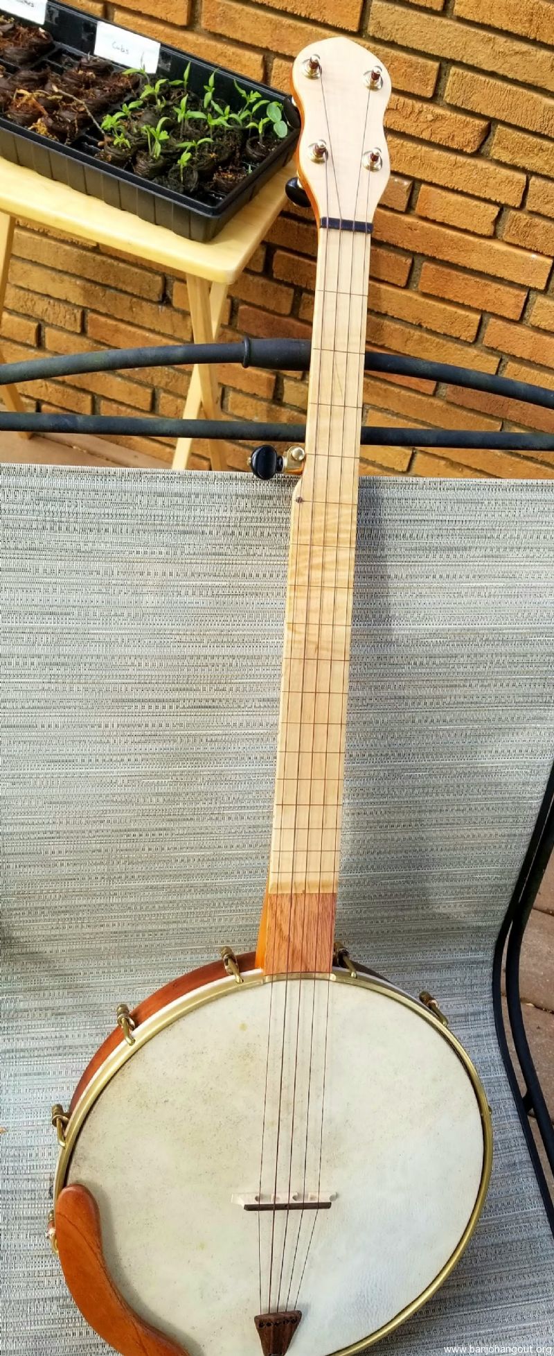 Stone Banjo Co. 1880’s Tribute Fretless Open Back Banjo - Used Banjo ...