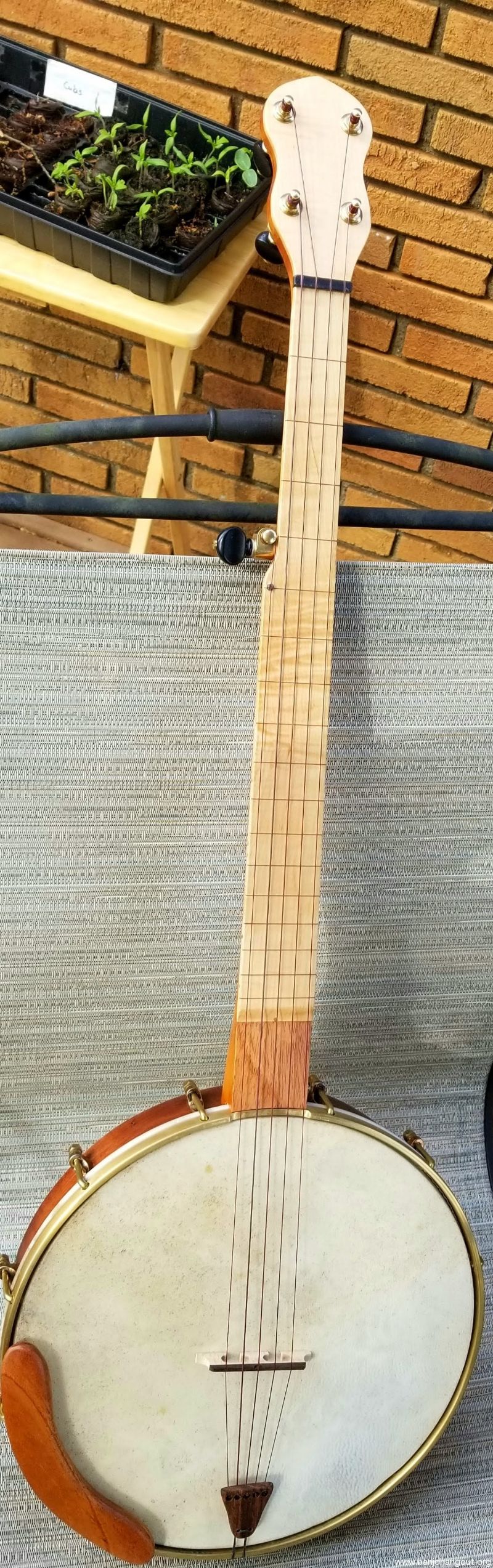 Stone Banjo Co. 1880’s Tribute Fretless Open Back Banjo - Used Banjo ...