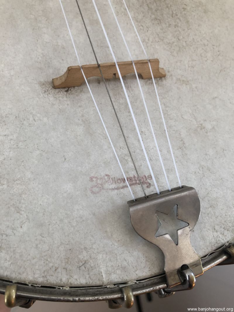 Fretless Bay State 301 - Used Banjo For Sale at BanjoBuyer.com