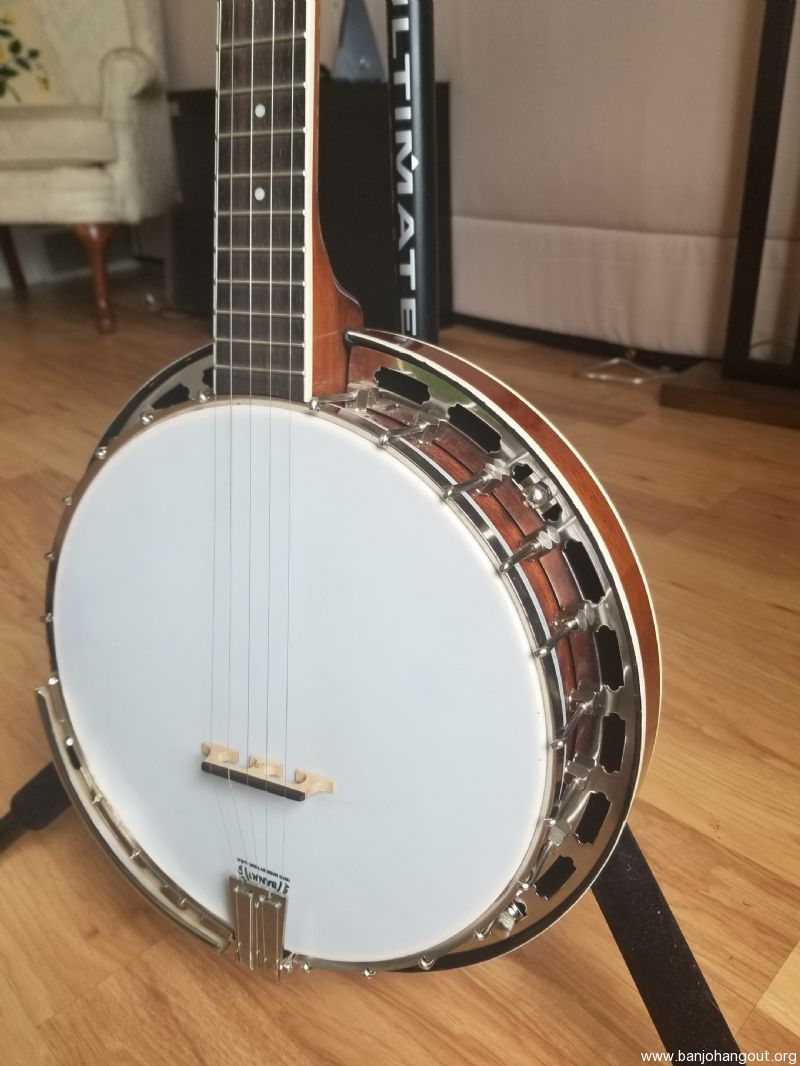 Rover RB-115 (sale pending) - Used Banjo For Sale at BanjoBuyer.com