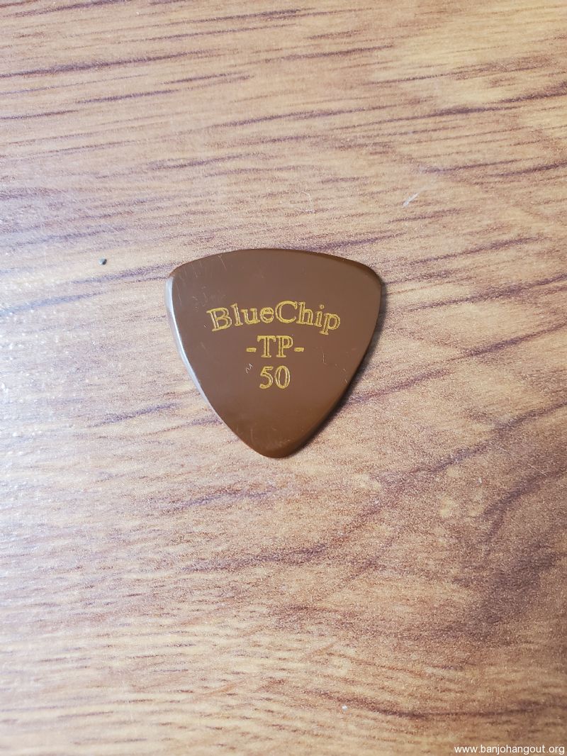 Blue Chip TP 50 Guitar Pick (sale pending) - Used Banjo For Sale at ...