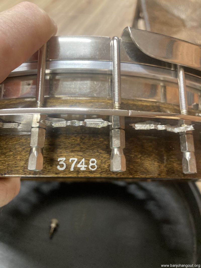 Stelling White Star banjo - Used Banjo For Sale at BanjoBuyer.com