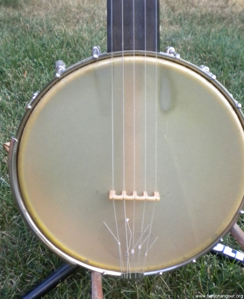 A-scale fretless banjo from Ramsey workshop - Used Banjo For Sale at ...