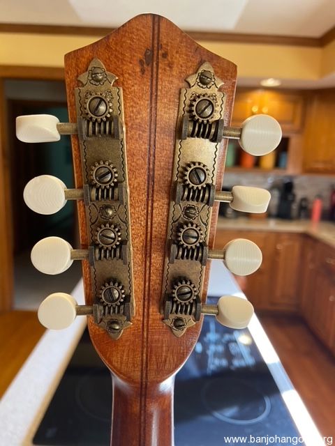 (ca) 1920's Gretsch Rex Professional Banjo Mandolin - Used Banjo For ...