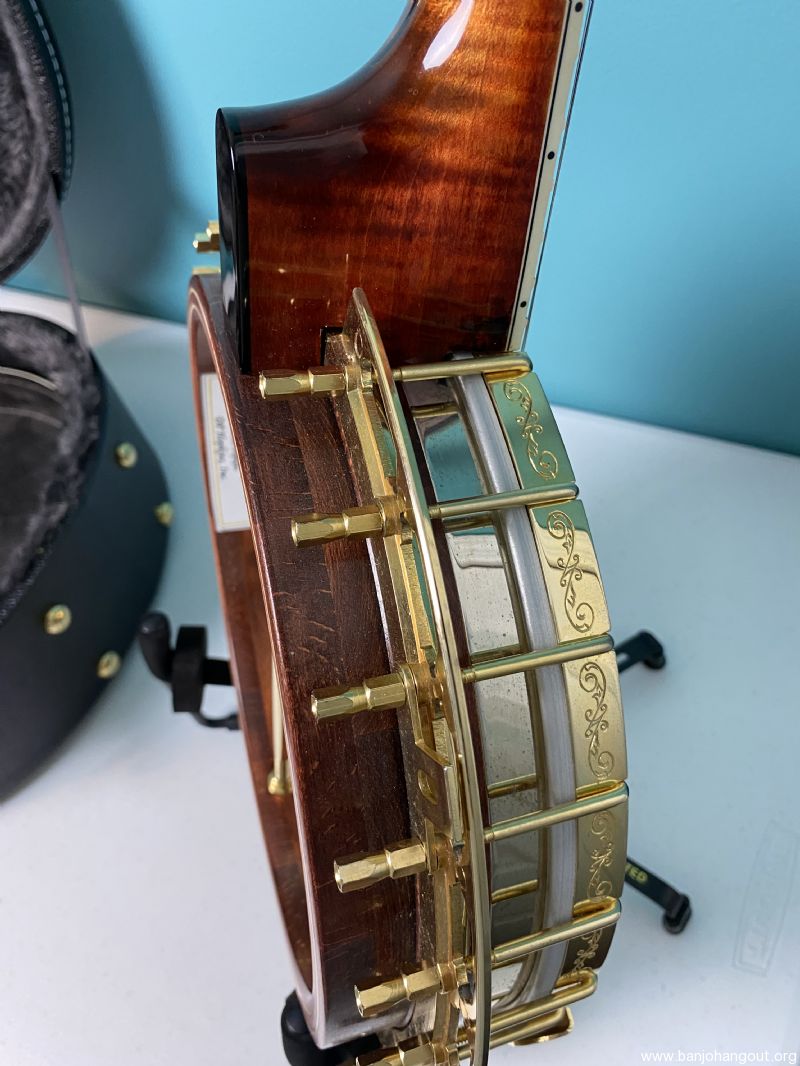 Hopkins Gold Phoenix with Tony Pass Rim - Banjo Hangout