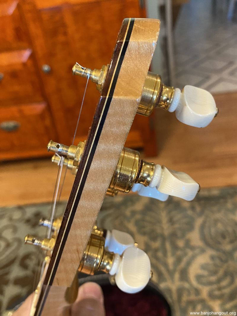 Heartland by Robin Smith Force Five*trade pending* - Used Banjo For ...