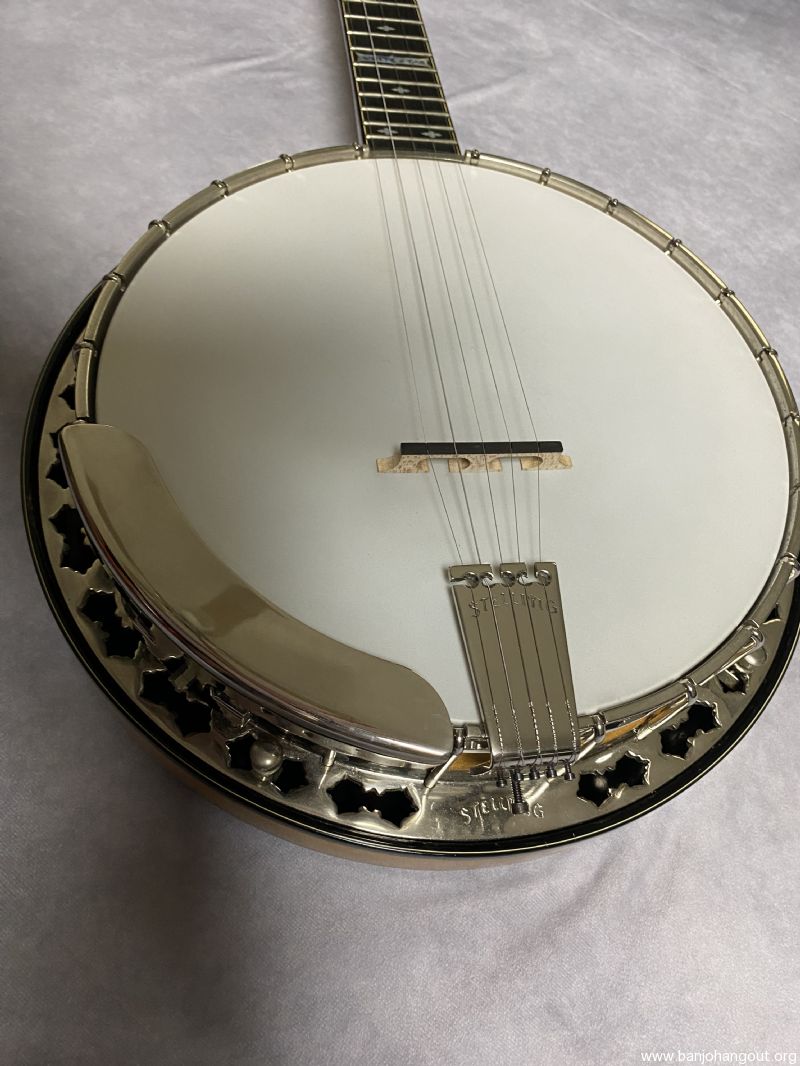 Stelling White Star - Used Banjo For Sale at BanjoBuyer.com