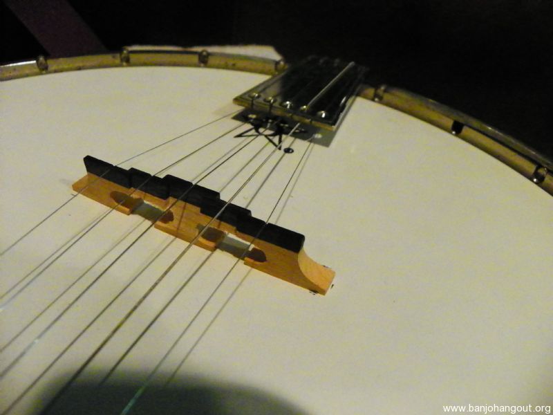 Wildwood Minstrel excellent playing 5 string banjo with railroad tie ...