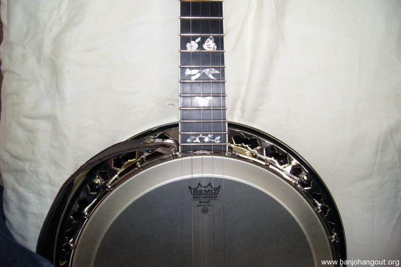 Stelling Butterfly - Used Banjo For Sale at BanjoBuyer.com