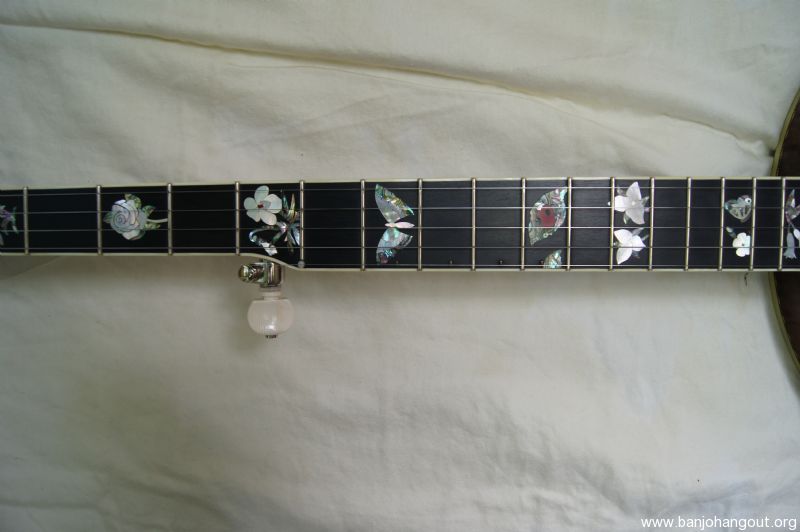 Stelling Butterfly - Used Banjo For Sale at BanjoBuyer.com