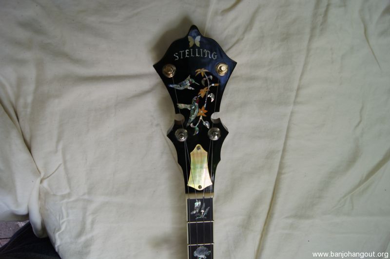 Stelling Butterfly - Used Banjo For Sale at BanjoBuyer.com