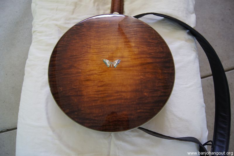 Stelling Butterfly - Used Banjo For Sale at BanjoBuyer.com