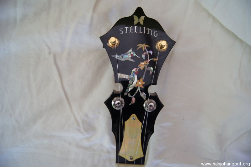 Stelling Butterfly - Used Banjo For Sale from Banjo Vault