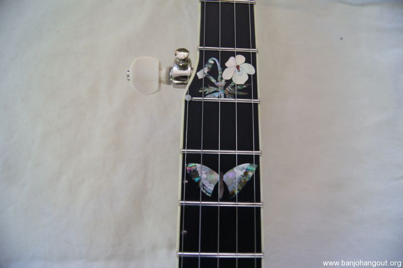 Stelling Butterfly - Used Banjo For Sale at BanjoBuyer.com