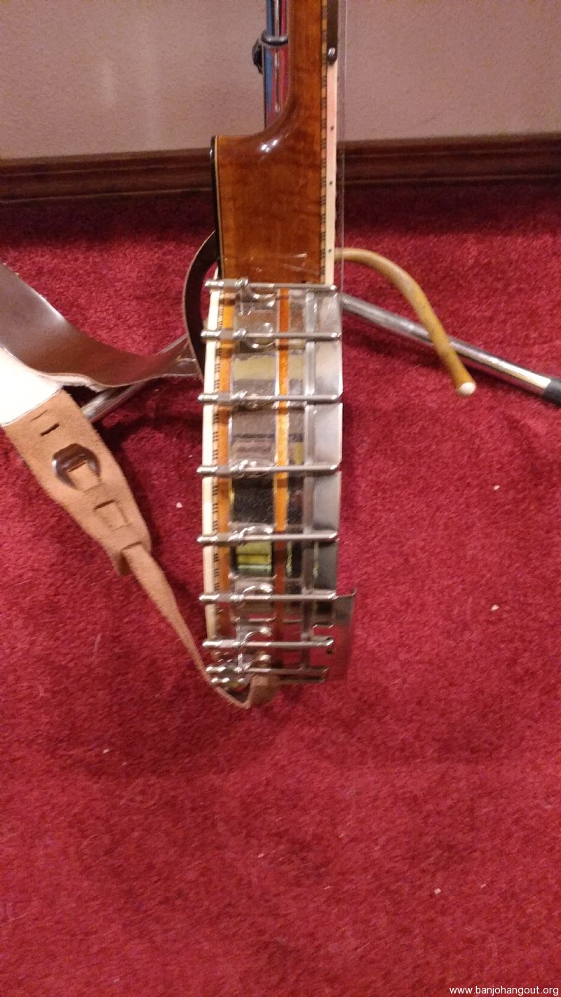 Wildwood Balladeer Open Back -Tree of Life pattern - Used Banjo For ...