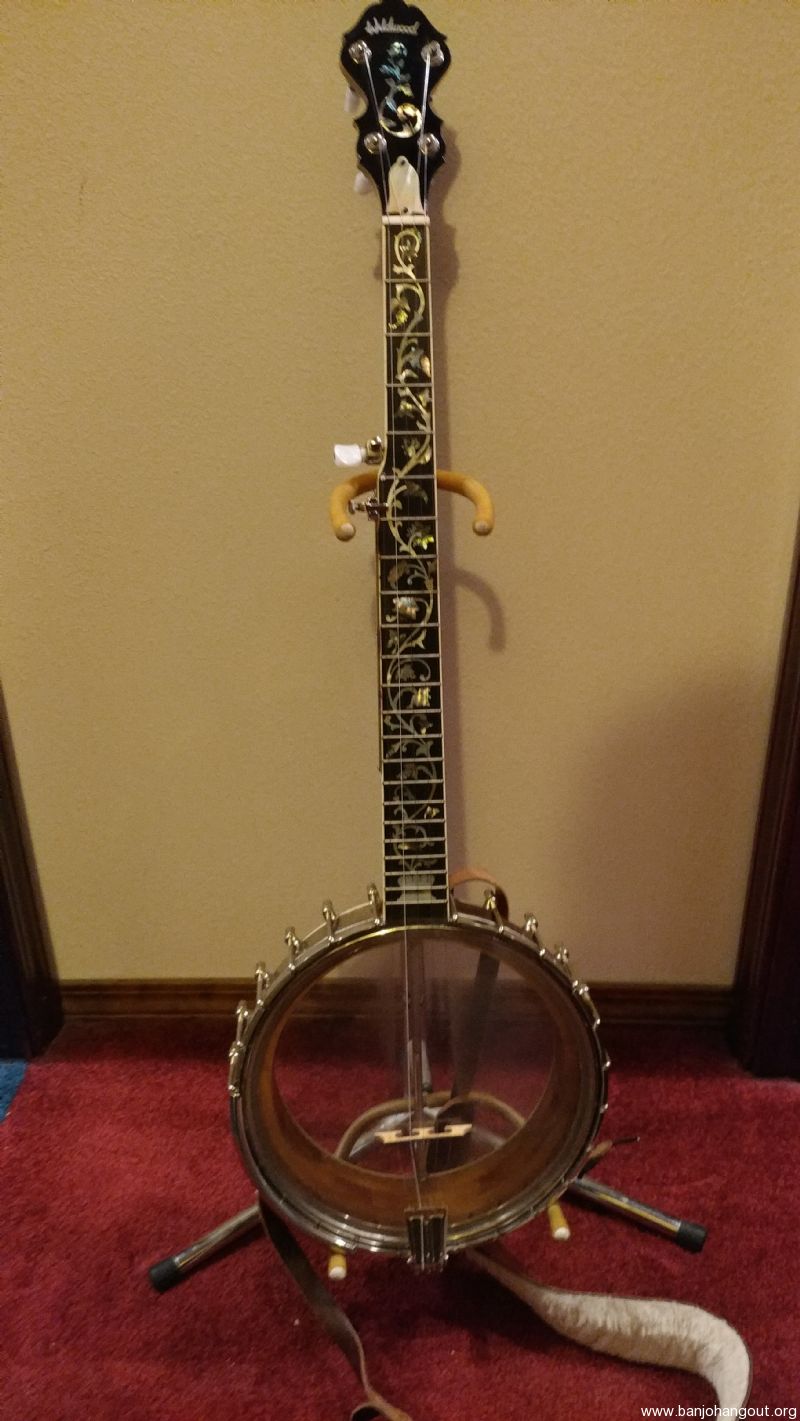 Wildwood Balladeer Open Back -Tree of Life pattern - Used Banjo For ...